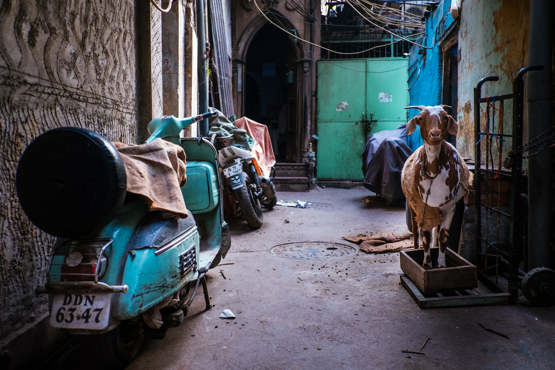 India street photography - Johnny Dent Photography